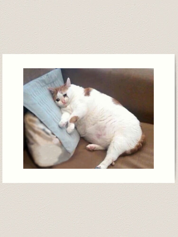 Crying Fat Cat Meme Waterproof Die Cut Sticker Mem Cat Cute Scream