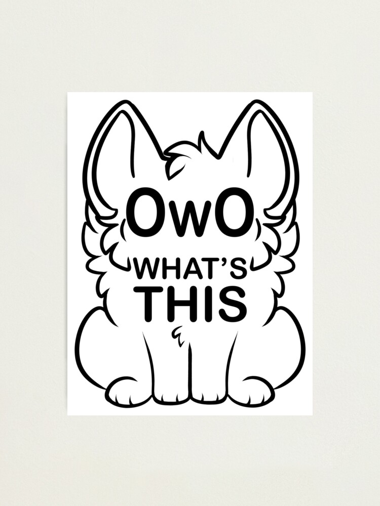 "OwO What's This? - black text" Photographic Print by 8Bit-Paws | Redbubble