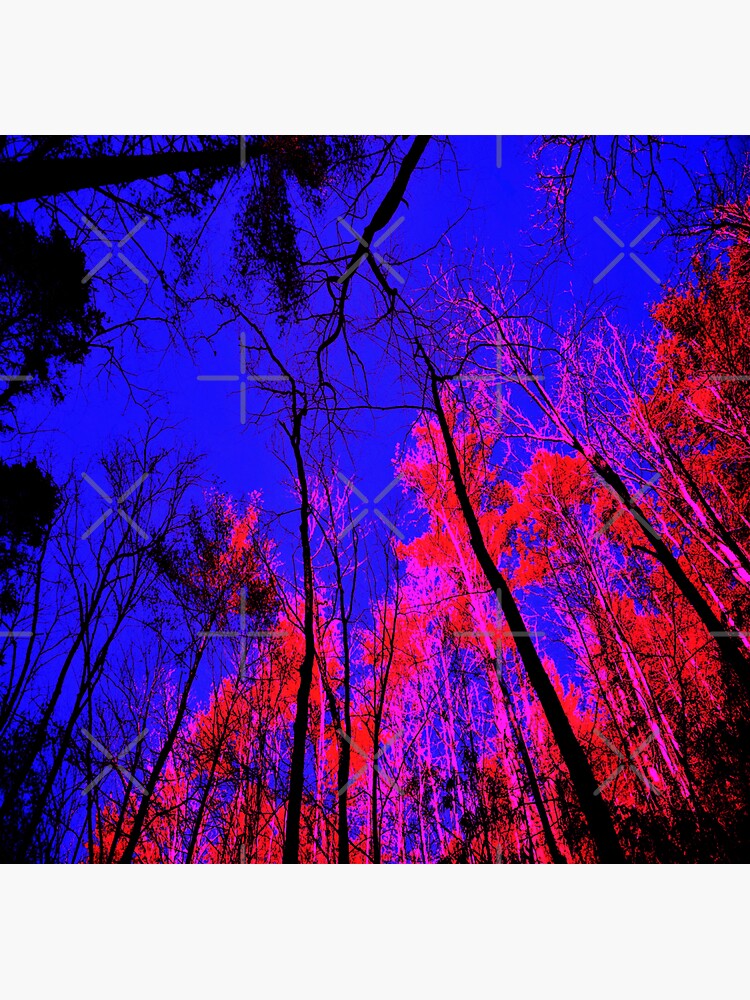"Trippy Tree Tops" Sticker for Sale by VividExhibition | Redbubble