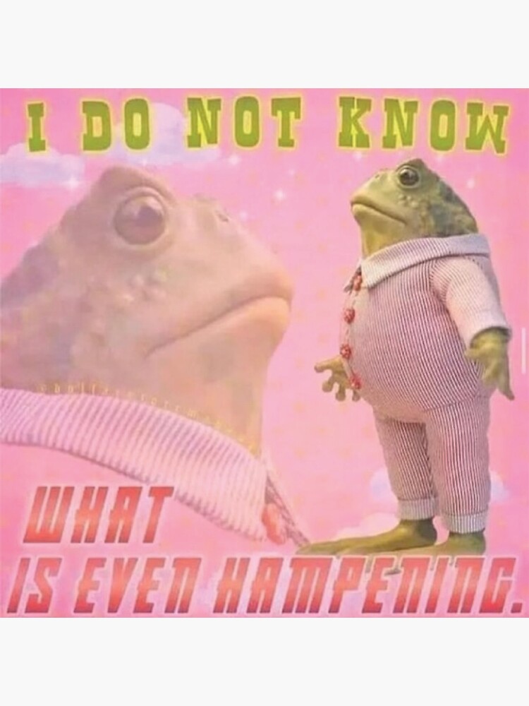 "I do not know what is even happening frog" Sticker for Sale by ...