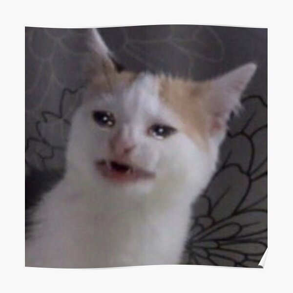 "Cat funny face meme " Poster for Sale by PedestrianWalk | Redbubble