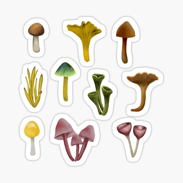 "Mushrooms, Lichen & Colorful Fungi" Sticker for Sale by somecallmebeth ...
