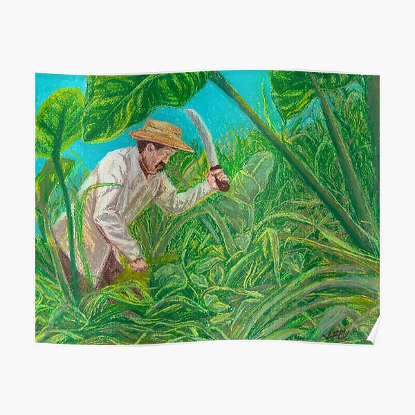 "" Jíbaro Puertorriqueño, don Angel trabajando'" Poster for Sale by ...