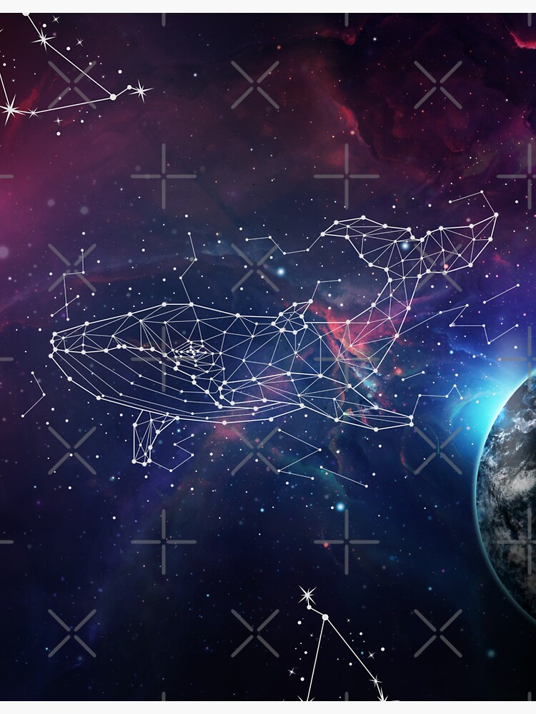 Space Whale Star Constellation Design Sticker For Sale By T1n3333 Redbubble 