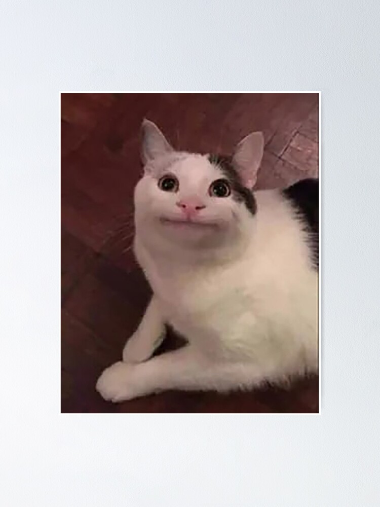 "Cat funny face meme " Poster for Sale by PedestrianWalk | Redbubble