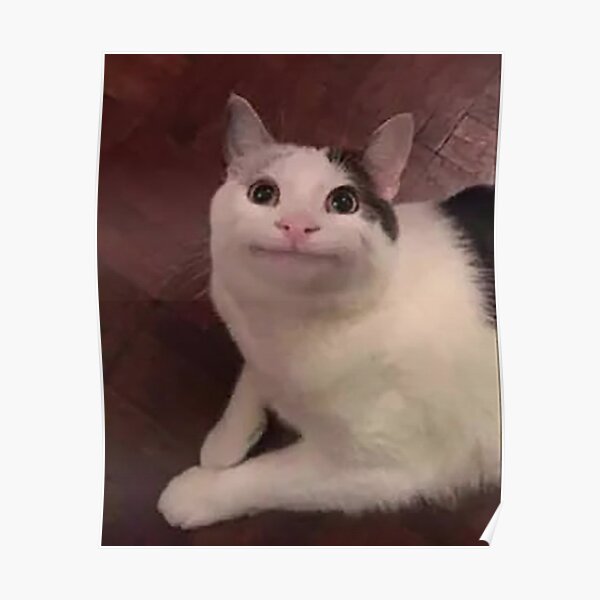 "Cat funny face meme " Poster for Sale by PedestrianWalk | Redbubble