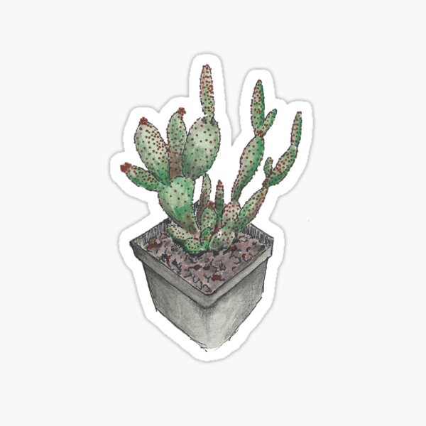 "cactus" Sticker by Hardus | Redbubble