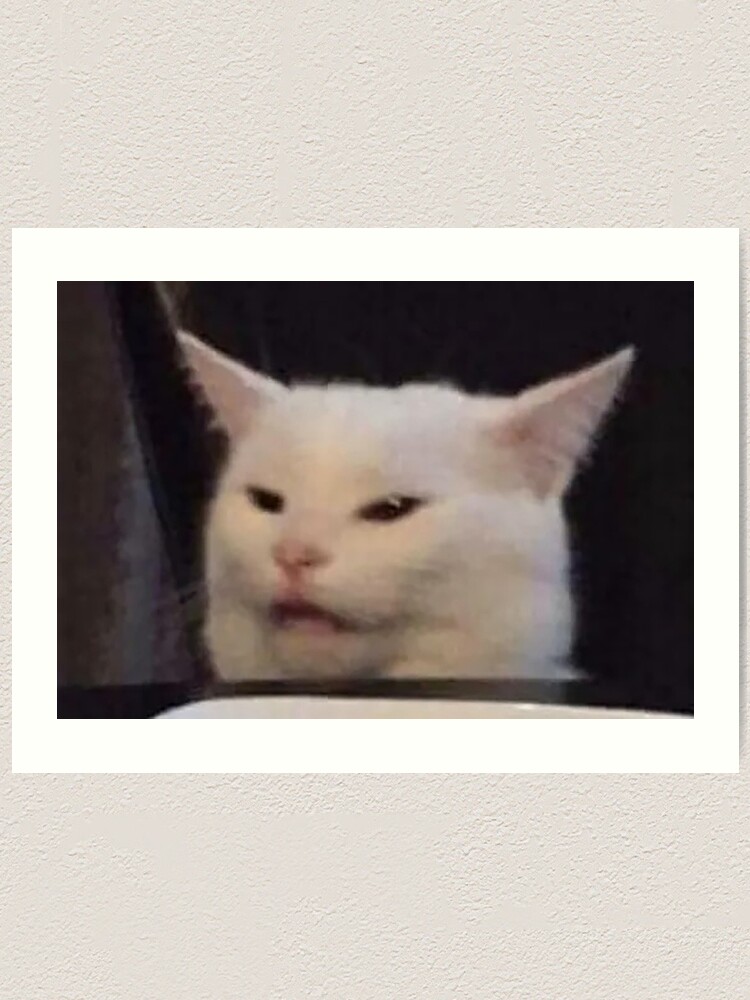 "Cat funny face meme " Art Print for Sale by PedestrianWalk | Redbubble