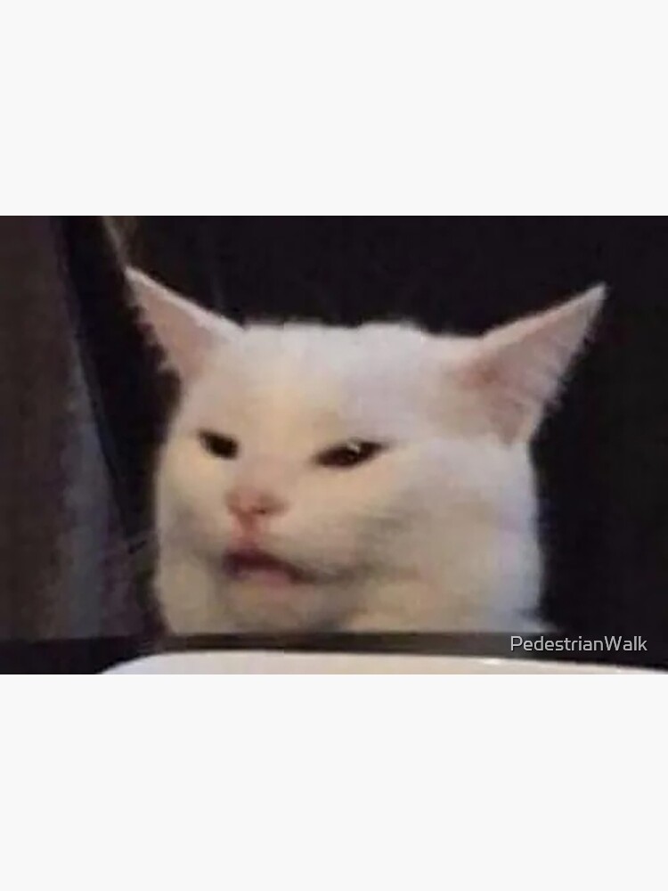 "Cat funny face meme " Art Print for Sale by PedestrianWalk | Redbubble