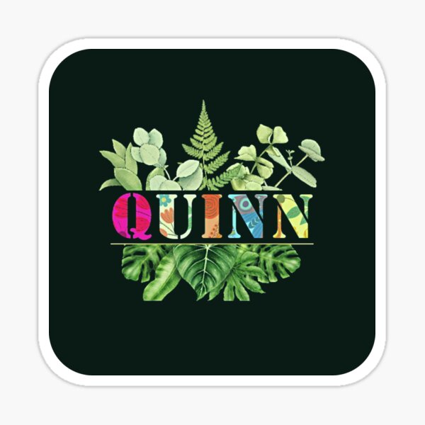 "Quinn Name" Sticker for Sale by Girl-Names-101 | Redbubble
