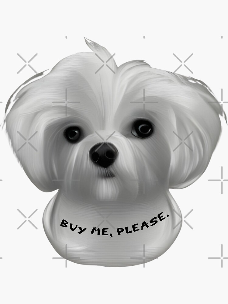 "Cute Maltese Dog" Sticker for Sale by The Love Quill | Redbubble