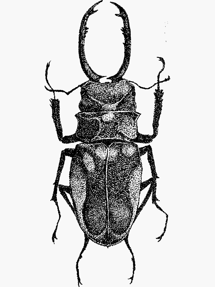 "Stag Beetle Stipple" Sticker for Sale by memdanat | Redbubble