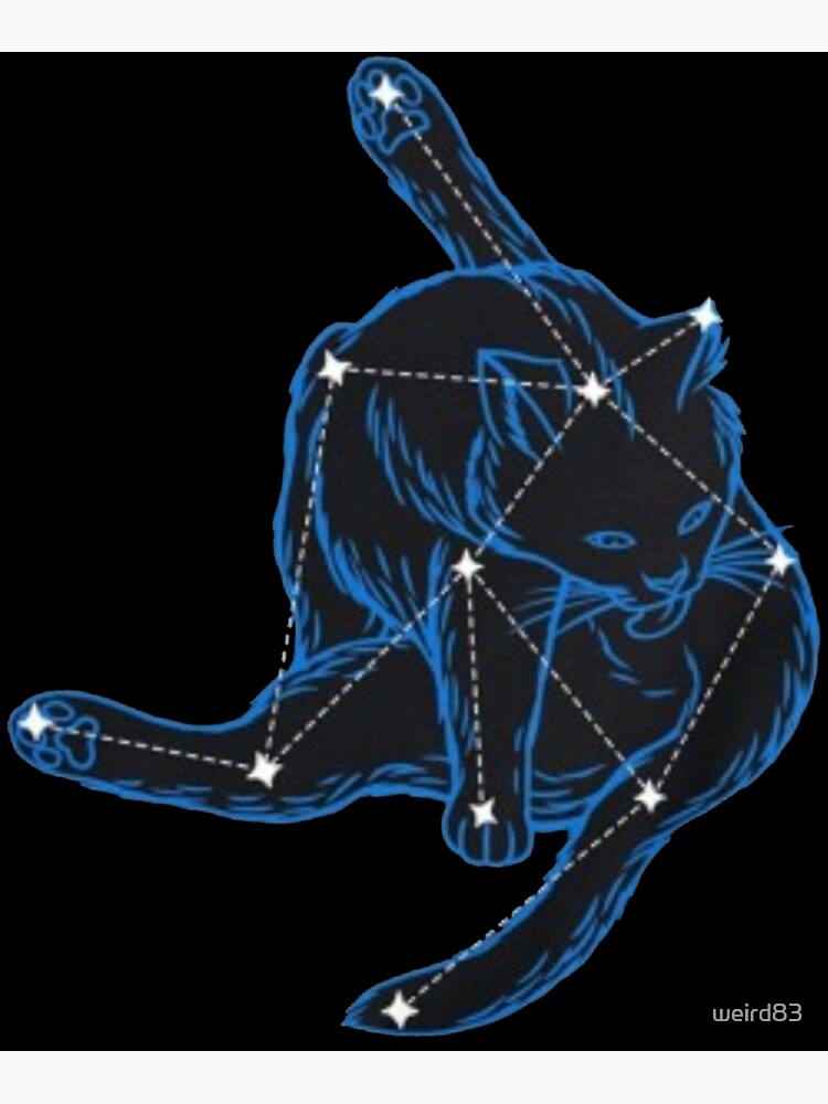 "Cat constellation funny Space cat bath kitty cat licking butt butthole stars outer space feline ...