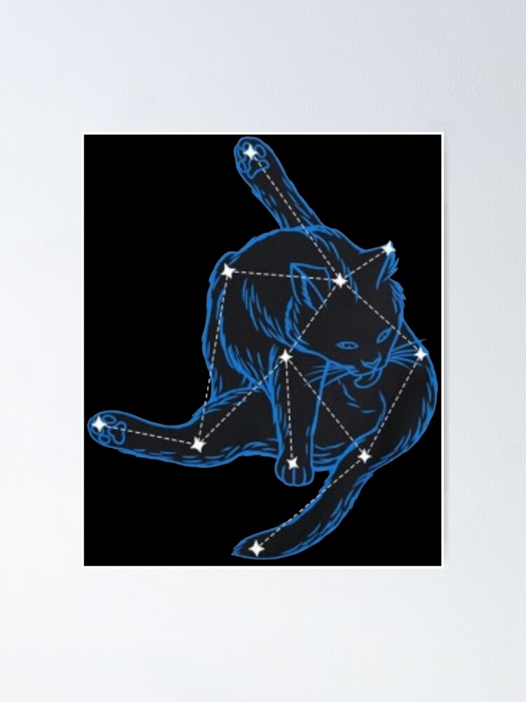 "Cat constellation funny Space cat bath kitty cat licking butt butthole stars outer space feline ...