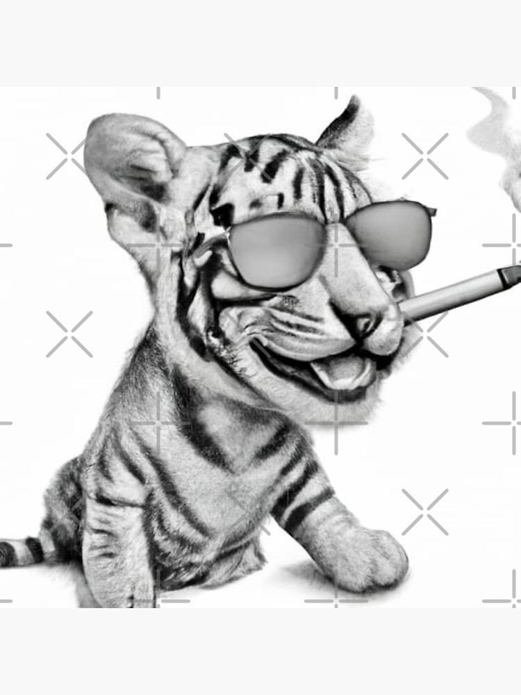 "A Smoking Tiger... of Course - Pencil Sketch" Sticker for Sale by ...