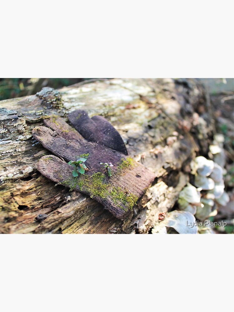 "Spring Glove" Sticker by lydiaplanalp | Redbubble