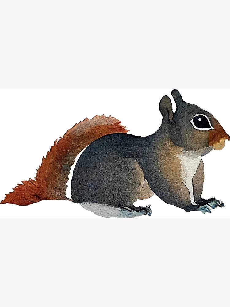 "Cute Squirrel Simple" Poster for Sale by recollectionsv | Redbubble