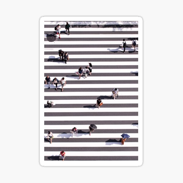 "Zebra crossing" Sticker for Sale by SandroDi | Redbubble