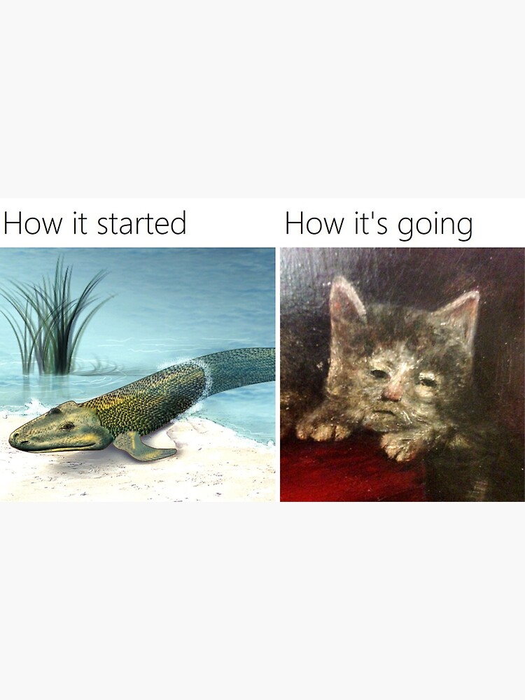 "How it started VS How it is going (Evolution Meme) - Thanksgiving ...