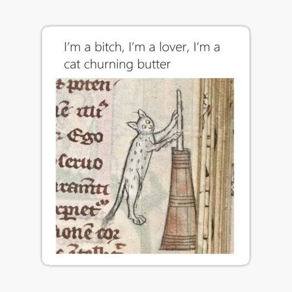 "I'm a lover I'm a cat churning butter - Thanksgiving, Christmas And ...