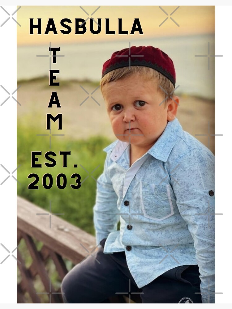 "Hasbulla Magomedov - Team MMA Hasbulla Fight Meme" Poster for Sale by ...