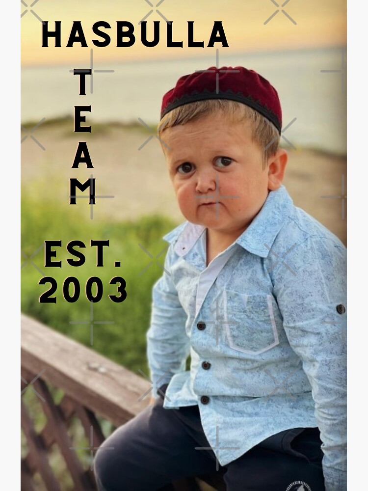 "Hasbulla Magomedov - Team MMA Hasbulla Fight Meme" Sticker von Zirrko ...