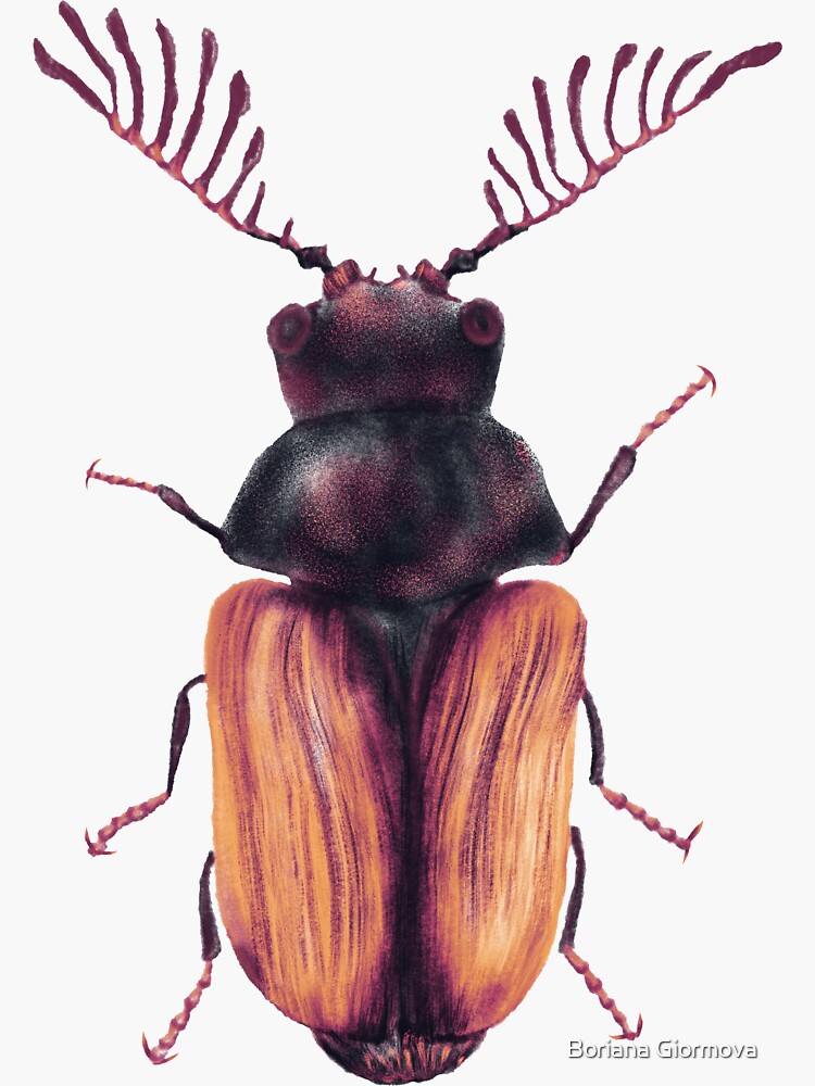 "Beetle insect lover fun entomology art" Sticker for Sale by azzza ...