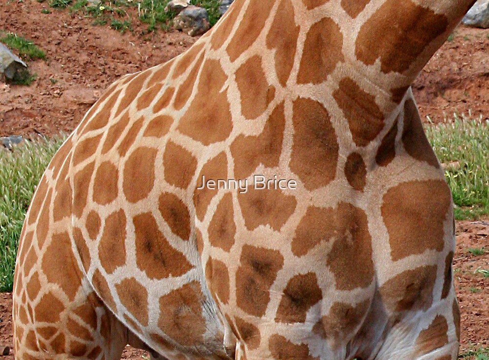 "Giraffe Spots" by Jenny Brice | Redbubble