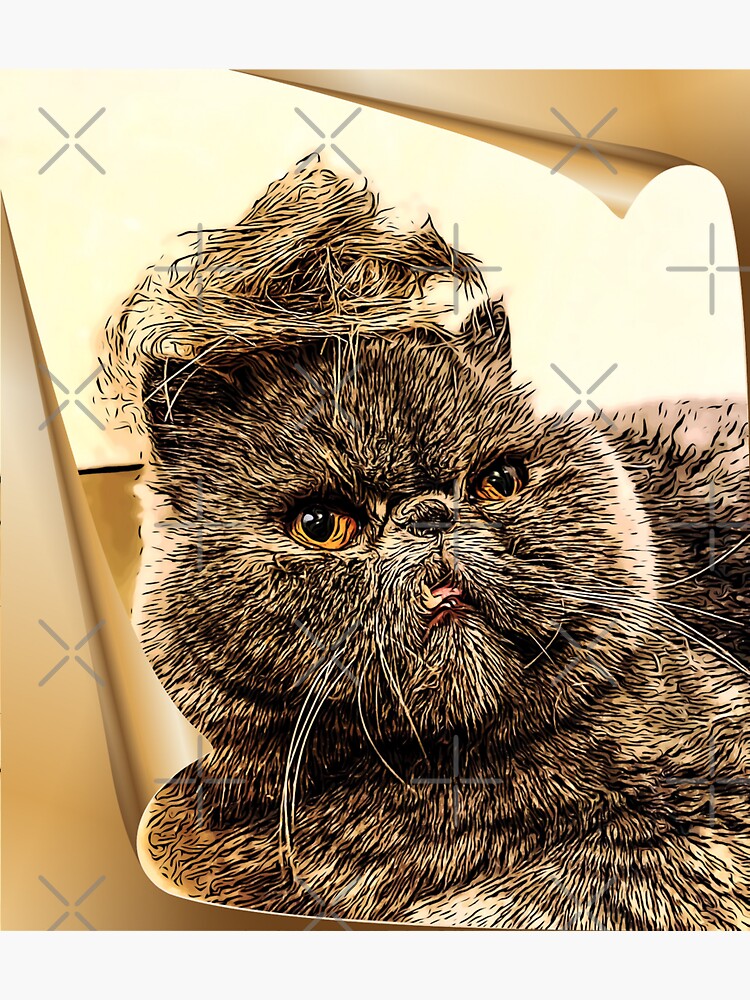 "Modern art Boom Boom the cat, Germany" Sticker for Sale by n-l ...