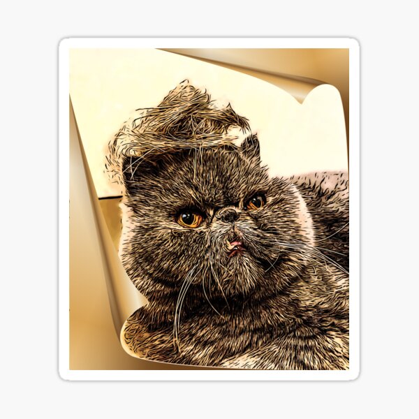 "Modern art Boom Boom the cat, Germany" Sticker for Sale by n-l ...