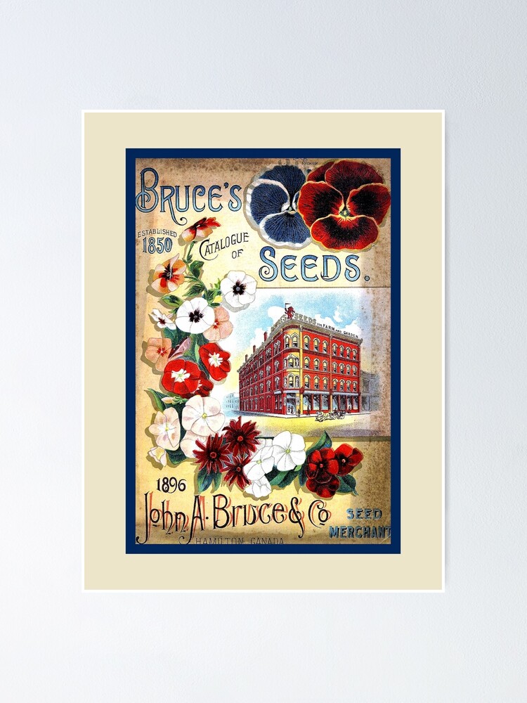 "Vintage Seed Pack Art - Old Seed Packet Art " Poster for Sale by ...