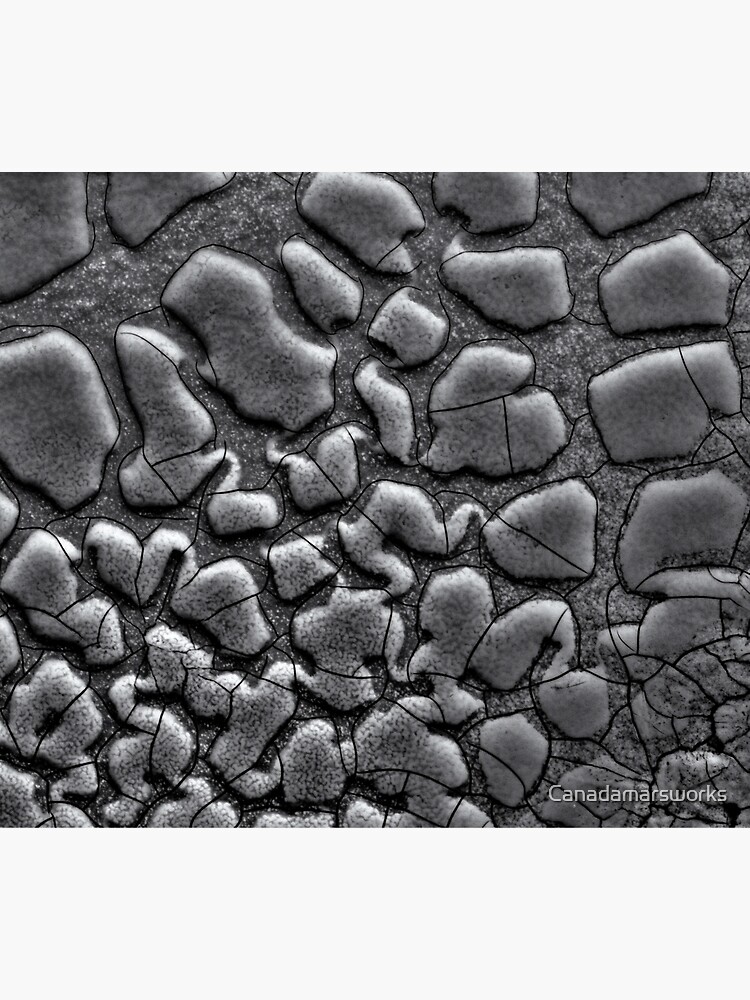 "SEM, Scanning Electron Microscope, Poly Diffusion Failure Secondary ...