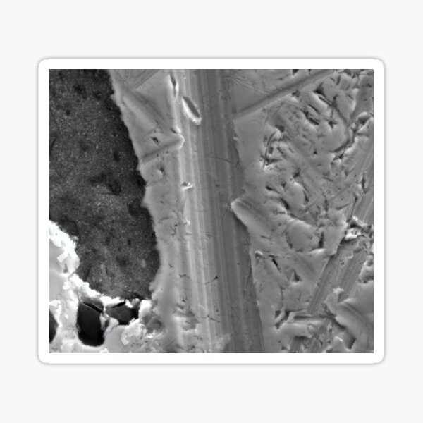 "SEM, Scanning Electron Microscope, Back Scatter Detector, Scratched ...