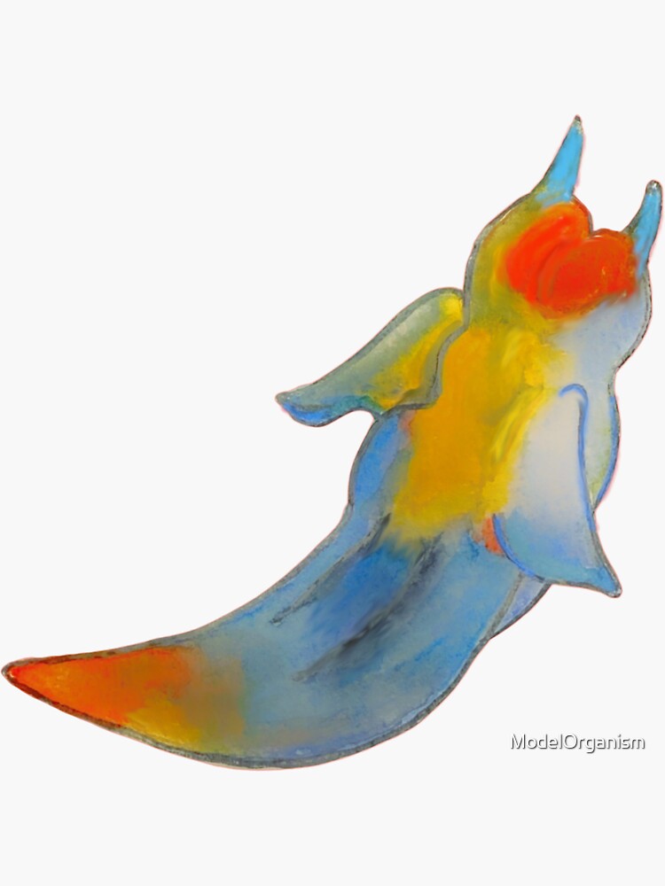 "Swimming Sea Angel Sea Snail Marine Organism " Sticker for Sale by ...