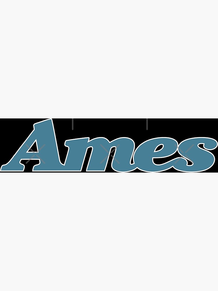 "Retro Ames Department Stores (Blue)" Poster for Sale by DLutfy | Redbubble