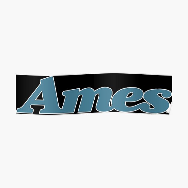 "Retro Ames Department Stores (Blue)" Poster for Sale by DLutfy | Redbubble