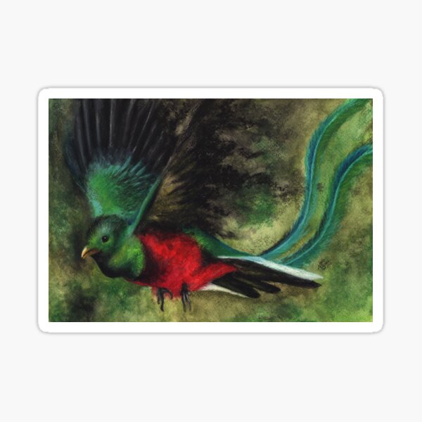 "Animal Abstractions: Quetzal" Sticker for Sale by NoelleMBrooks ...