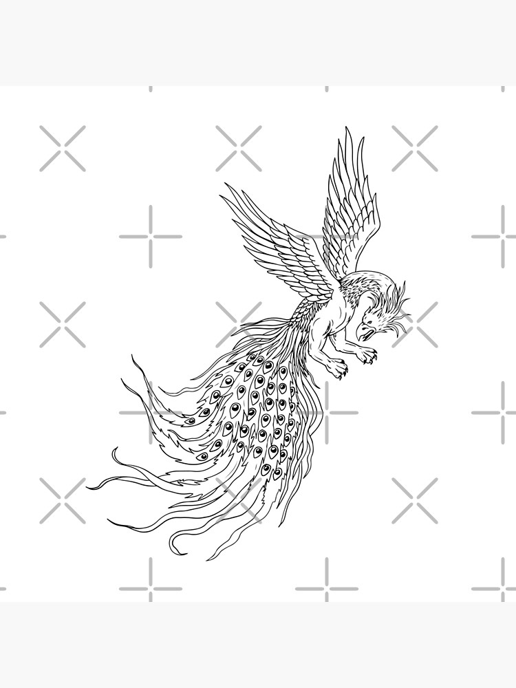 "Simorgh or Simurgh Flying Drawing" Photographic Print by patrimonio ...