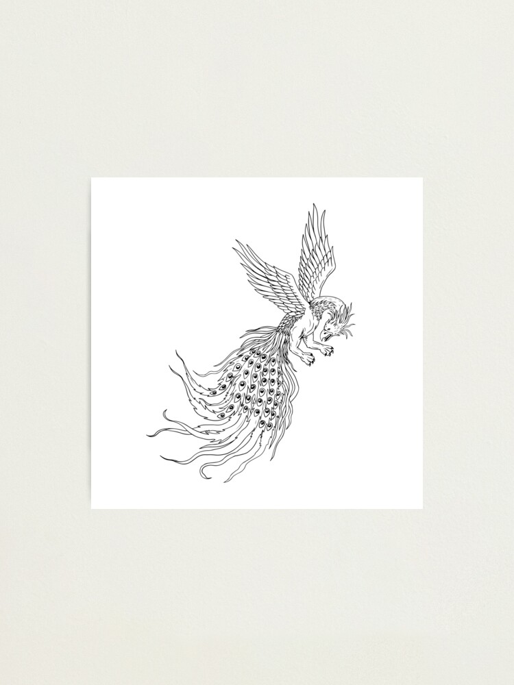 "Simorgh or Simurgh Flying Drawing" Photographic Print by patrimonio ...