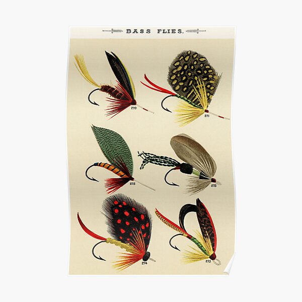 "Bass Flies Vintage Fishing Chart" Poster for Sale by BreadOlives ...