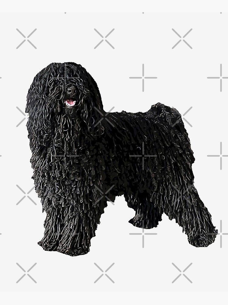 "Hungarian Puli Puppy Dog Dreadlocks" Poster for Sale by Elarex | Redbubble