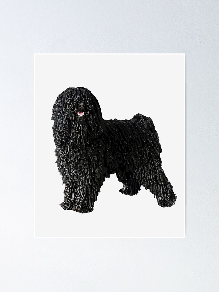 "Hungarian Puli Puppy Dog Dreadlocks" Poster for Sale by Elarex | Redbubble