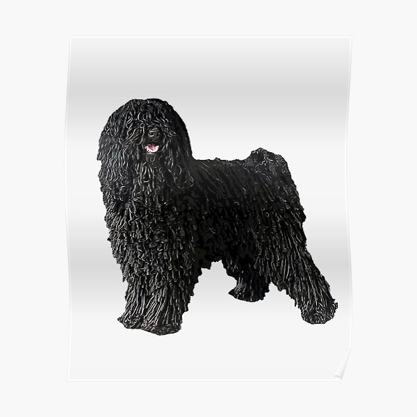 "Hungarian Puli Puppy Dog Dreadlocks" Poster for Sale by Elarex | Redbubble