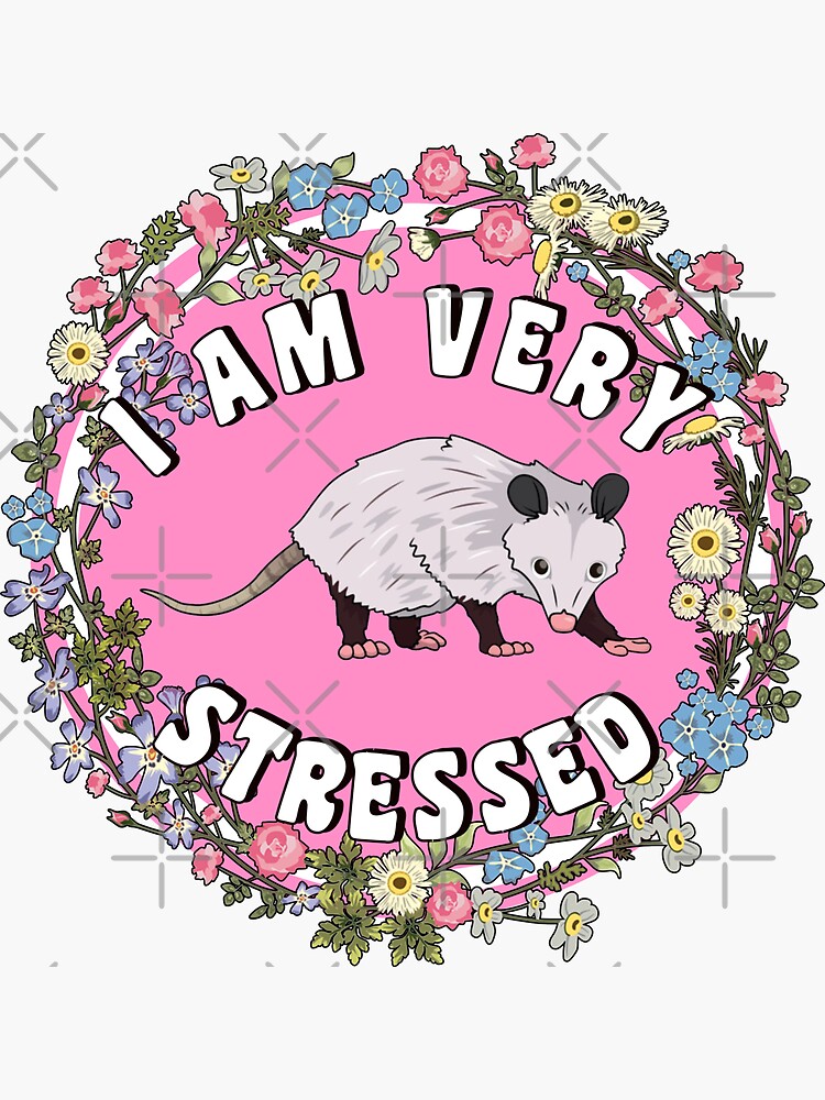 "possum bumper sticker - possum car decal - emotional crisis ...