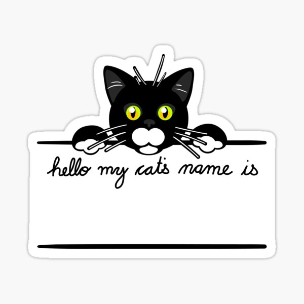 "Hello My Cat's Name Is... (Black and White)" Sticker for Sale by ...