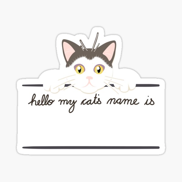 "Copy of Copy of Hello My Cat's Name Is... (White and Grey)" Sticker ...