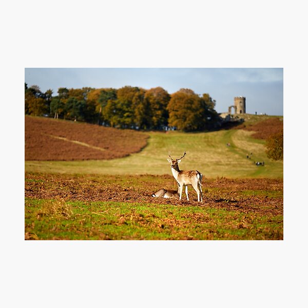 Bradgate Gifts & Merchandise | Redbubble