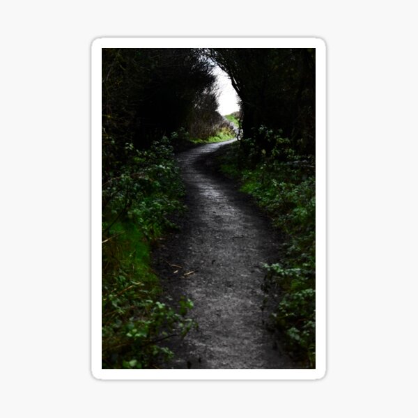 "Beachside Path" Sticker for Sale by Sams-8Bit-rail | Redbubble