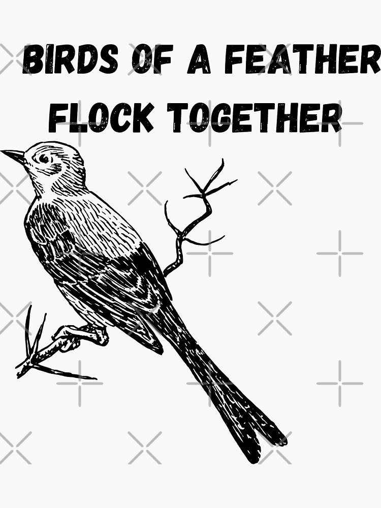 " BIRDS OF A FEATHER FLOCK TOGETHER" Sticker for Sale by MZdesiger ...