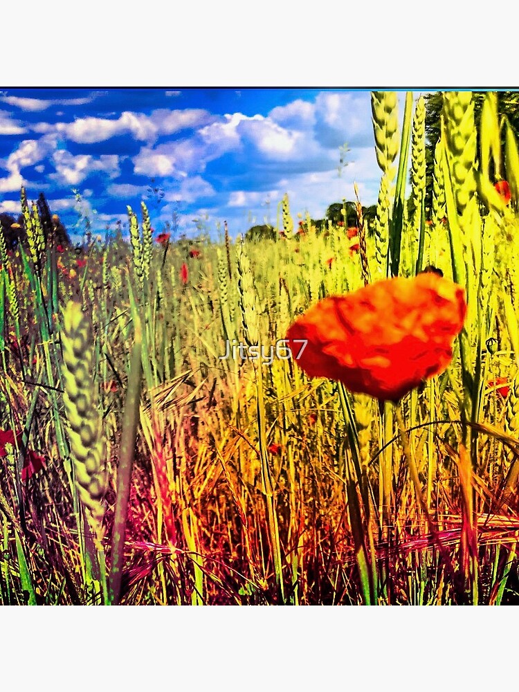 "Poppy's Dreams of Wheatfields" Sticker for Sale by Jitsy67 | Redbubble